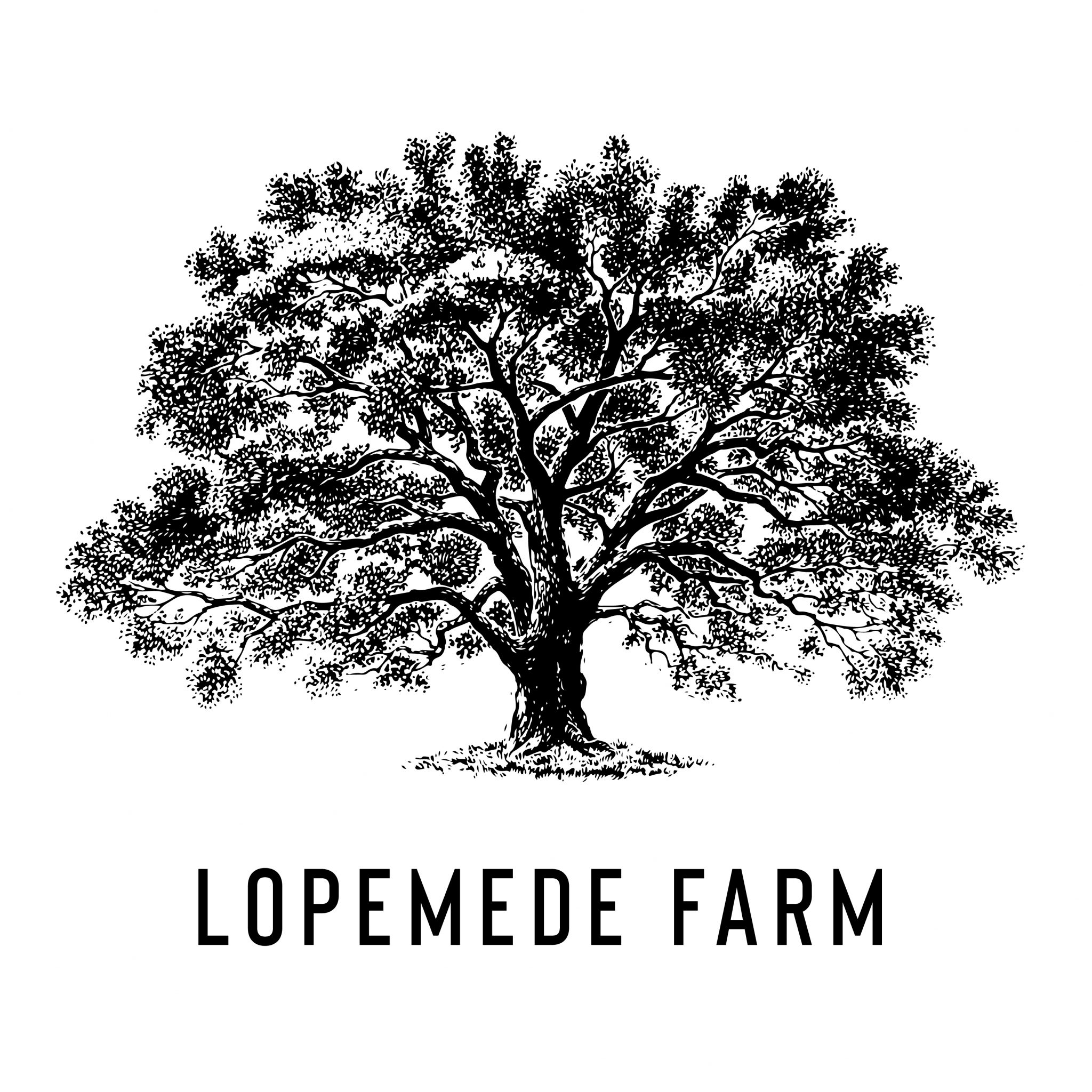 The Physic Garden - Lopemede Farm