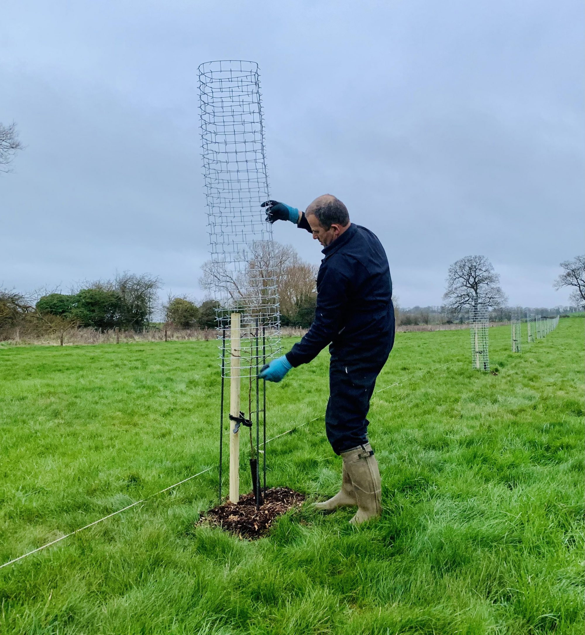 About Lopemede Farm - Lopemede Farm